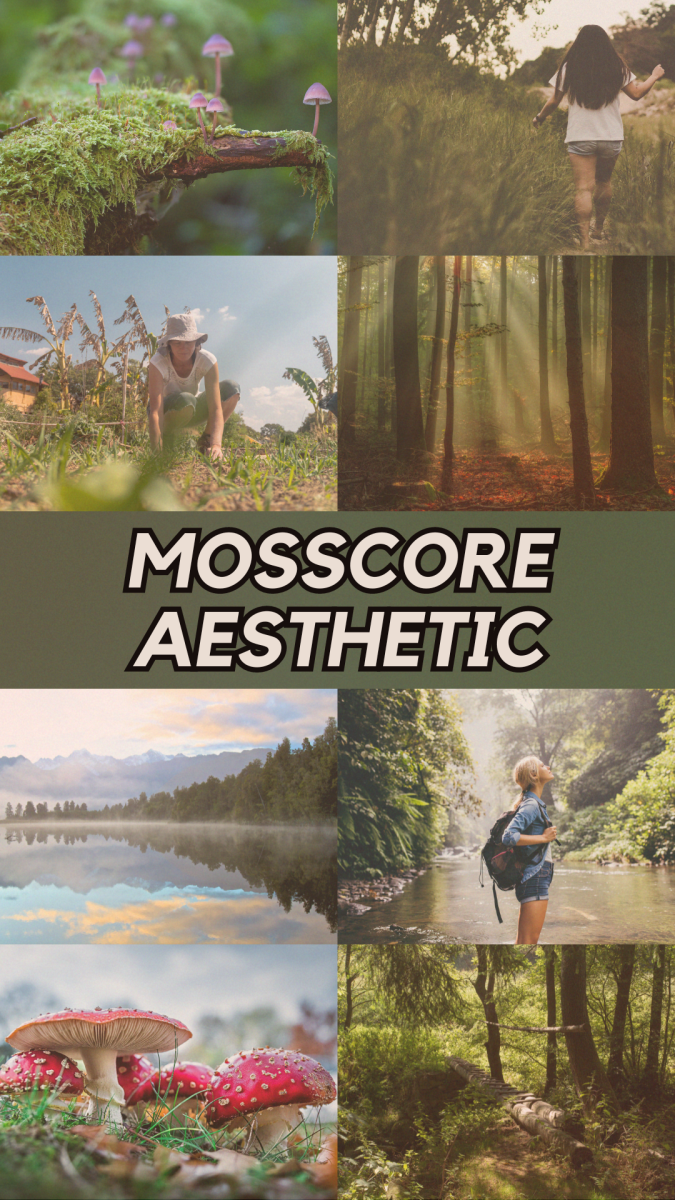 Cores 101: Mosscore 🌳 The Verdant and Tranquil Aesthetic – Scandal ...